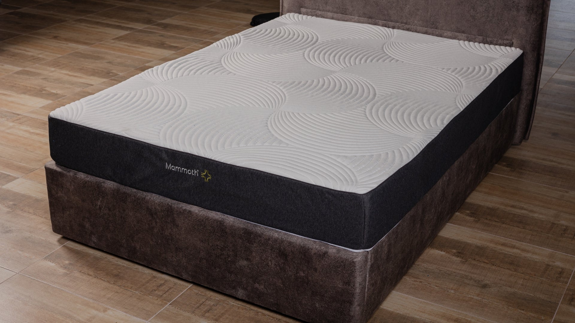 Mammoth Starry Night Mattresses